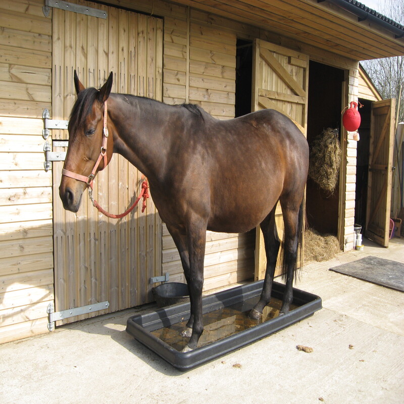 180 litre Water jump trough – Equestrian Fabrication